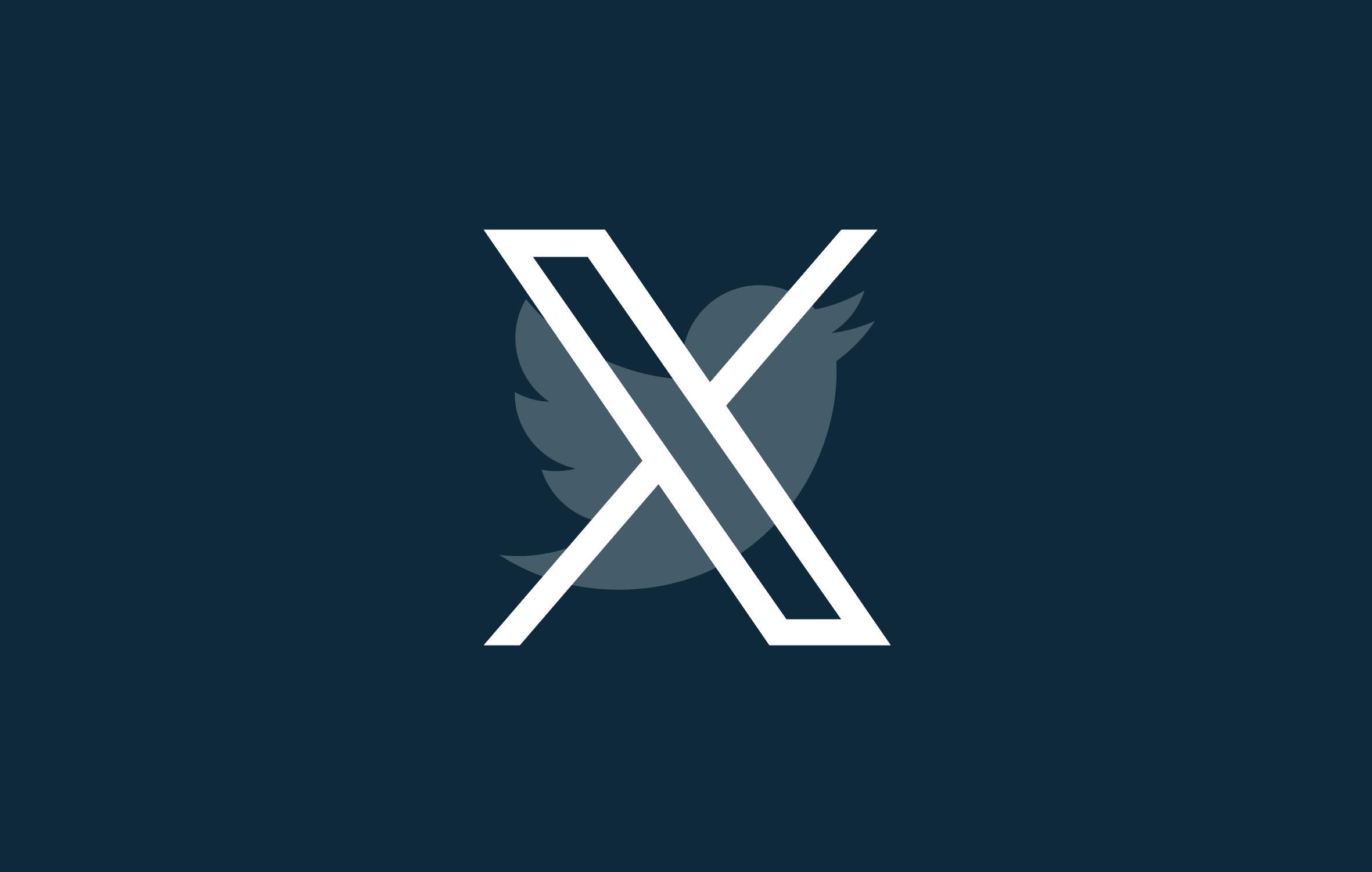 Twitter’s Transition to X: A Case Study on How Not to Rebrand » Neuger